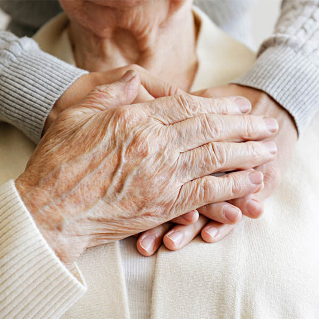 Divine Path Foundation: Nurturing Compassion, Holistic Care, and Spiritual Growth